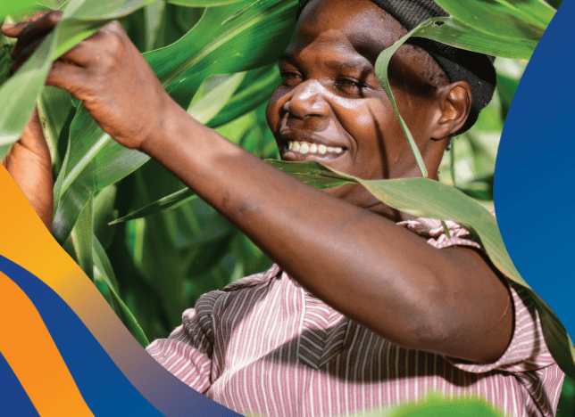 Financial Sector Deepening Kenya - Financial Sector Deepening Kenya ...