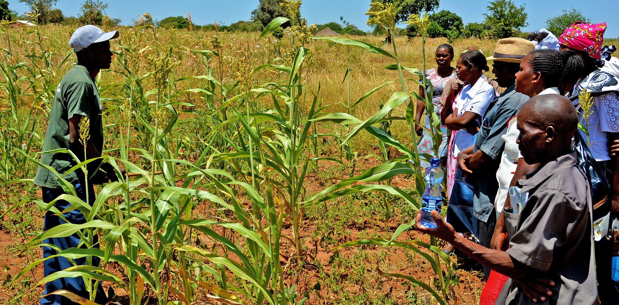 Financial Sector Deepening Kenya - Financial Sector Deepening Kenya ...