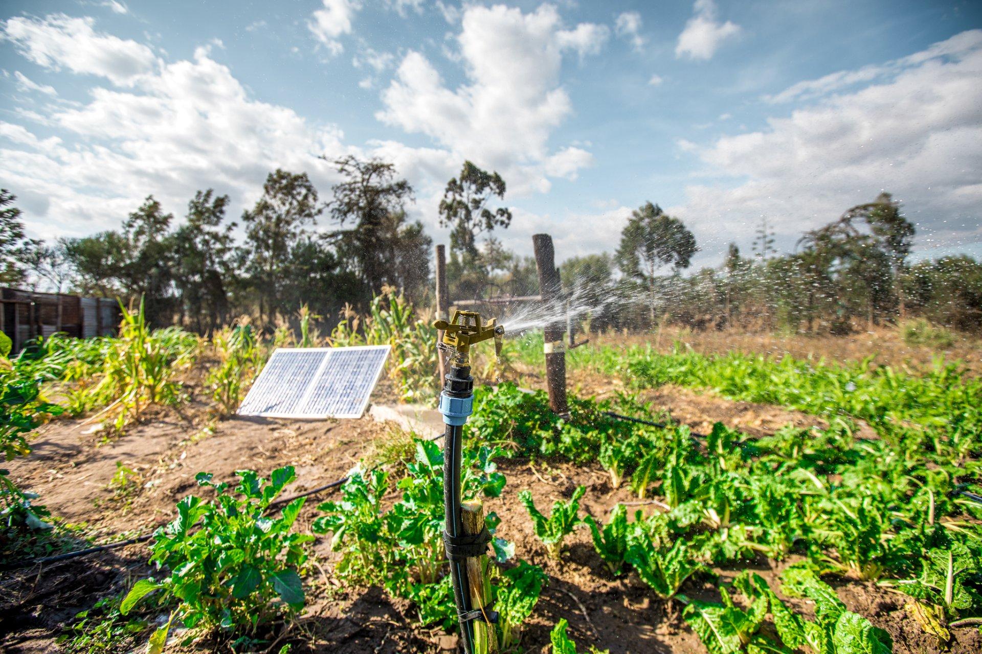 Promoting the uptake of solar irrigation through innovative carbon financing - Financial Sector ...