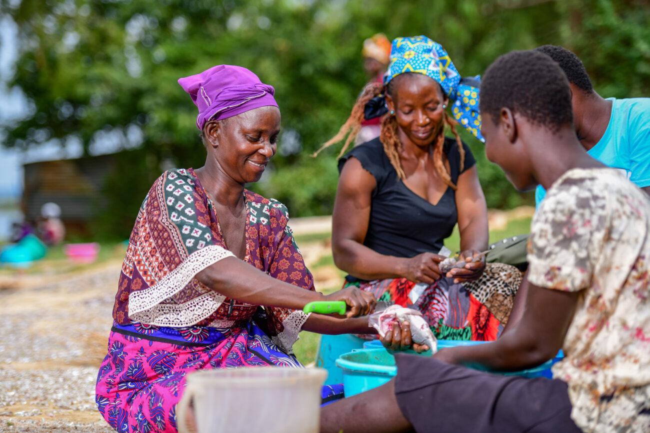 Financial Sector Deepening Kenya - Financial Sector Deepening Kenya ...